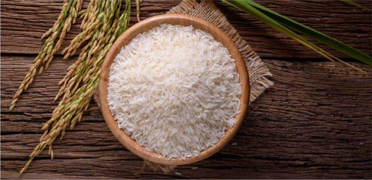 Home - Harikrushna Exports