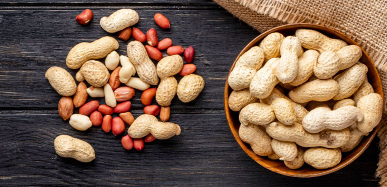 Home - Harikrushna Exports