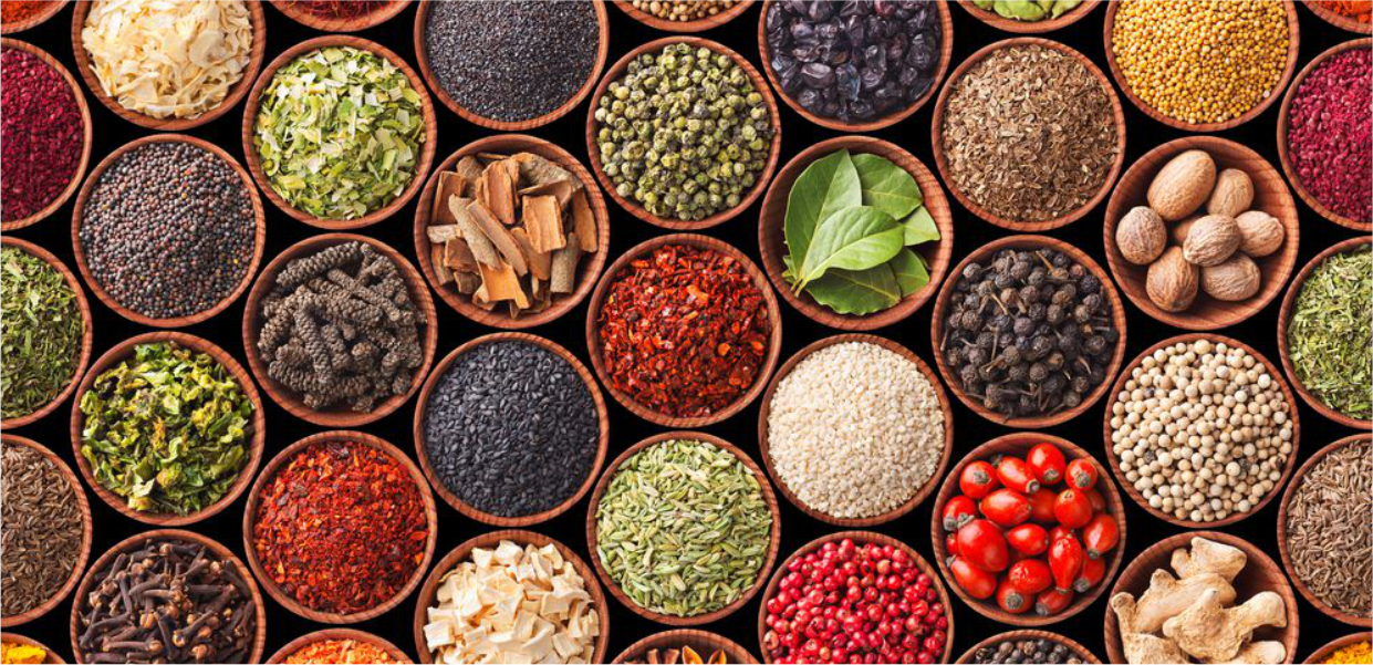 Home - Harikrushna Exports